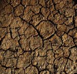 Votre chiffre Kua est 2 : Elément TERRE - Relooking Feng Shui - HARMONIZEN